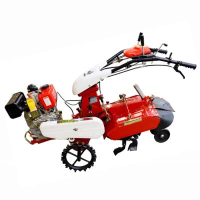 China Small-Scale Diesel Engine Power Cultivator Ditcher for Dry Land on Chassis for sale
