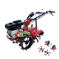 China Orchard Small Tractor Tiller with Gasoline Power Type Cultivator Gear Transmission for sale