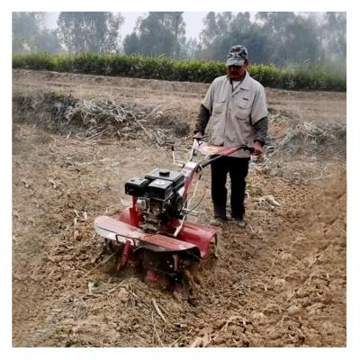 China Gasoline Hand Push Power Four-wheel Drive Tiller for Agriculture Machinery Equipment for sale