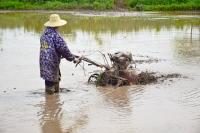 China Four-Wheel Drive 4KM/H Work Speed 170F Power Tiller for Small Plots and Gardens for sale