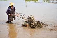 China Four-Wheel Drive 4KM/H Work Speed 170F Power Tiller for Small Plots and Gardens for sale