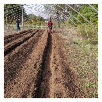 China High Safety Level Orchard Tilling Economical Gasoline 3 Point Mini Walking Ditcher Trencher Machine for sale