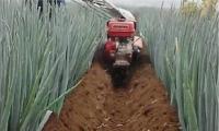 China Four-Wheel Drive Chassis Trenching Weeding Farm Implement for Optimal Soil Cultivation for sale