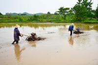 China Four-Wheel Drive 4KM/H Work Speed 170F Power Tiller for Small Plots and Gardens for sale