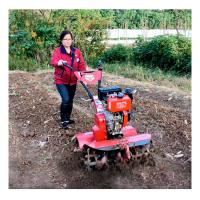 China Gasoline Engine Mini Power Tiller for Agricultural Equipment at 4KM/H Work Speed for sale