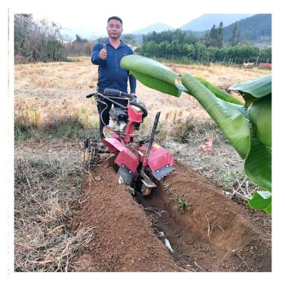 China Convenient Gear Transmission Orchard Tilling Equipment with Over 10cm Tilling Width for sale
