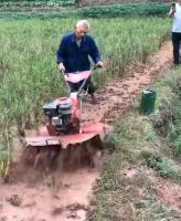China Affordable Diesel Engine Mini Power Tiller for Weeding at Home Optional Features for sale