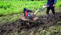 China 4KW High Safety Level Multi-fuction Agriculture Machine Gasoline engine 4WD 170f Mini Tiller for sale