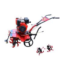 China Affordable Diesel Engine Mini Power Tiller for Weeding at Home Optional Features for sale