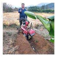 China Gear Structure Management Mini Power Tiller with 70cm Working Width and Gasoline Engine for sale