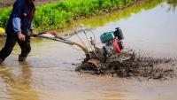 China Four-Wheel Drive Multu-purpose Agricultural Equipment 173F Diesel Engine Cultivator for Garden for sale