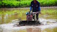China Four-Wheel Drive Multu-purpose Agricultural Equipment 173F Diesel Engine Cultivator for Garden for sale