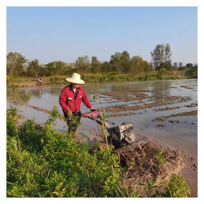 China Achieve More in Less Time with Our Rotary Tiller 170F/173F 4WD Mini Power Tiller for sale