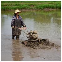 China Gasoline Power Type 170F Engine 4WD Rotary Tiller for Farming Machine 1100*1050*880mm for sale