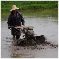 China Gasoline Power Type 170F Engine 4WD Rotary Tiller for Farming Machine 1100*1050*880mm for sale