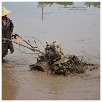 China 170F Gasoline Engine Power Tiller for Agriculture Machinery Equipment Efficiency for sale