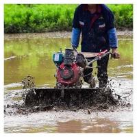 China Rotary Tiller Machine Type 4WD Easy Start Power Tilling Machine with High Safety Level for sale