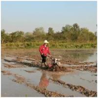 China Multi-function 178F Gasoline Four-Wheel Drive Power Tiller for Labor-saving Operation for sale