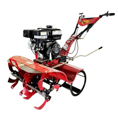 China Easy Operation Orchard and Garden Gasoline Engine Mini Rotary Tiller for Cultivation for sale