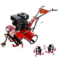 China Easy Operation Orchard and Garden Gasoline Engine Mini Rotary Tiller for Cultivation for sale