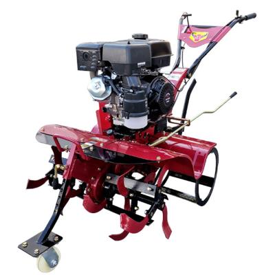 China 5KW Gasoline Engine Rotary Mini Tiller for Easy Operation and Adjustable Tilling Width for sale