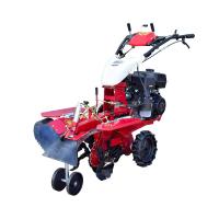 China Orchard mini power tiller cultivator with 170F gasoline engine and high safety level for sale