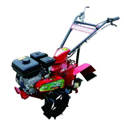 China Multi-Purpose Orchard Tiller with Durable Gear Transmission and Powerful Gasoline Engine for sale