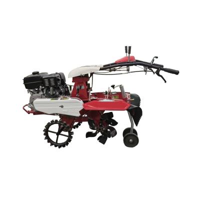 China 177F Gasoline Engine Four-Wheel Drive Mini Power Tiller Cultivator for Orchard Cash Crops for sale