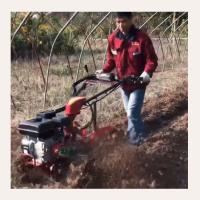 China 65 KG Compact 170F Four-Wheel Drive Mini Power Tiller Cultivator for Farm Management for sale