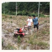 China Small Power Latest Design Four-Wheel Drive Mini Power Tiller for Home Farm Cultivator for sale