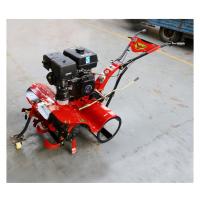 China 160*62*108cm Gasoline Engine 4WD Power Tiller for Agricultural for sale