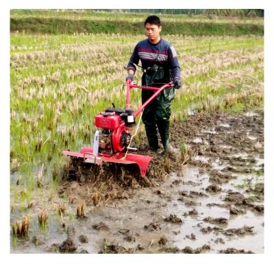 China High Safety Level Agricultural Machinery Mini Power Tiller with Working Width 45-85cm for sale