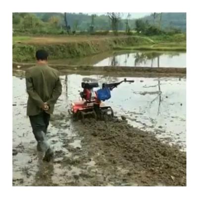 China 160*62*108cm High Safety Level Agricultural Machinery 4KW Farm Equipment/Mini Rotary Tiller for sale