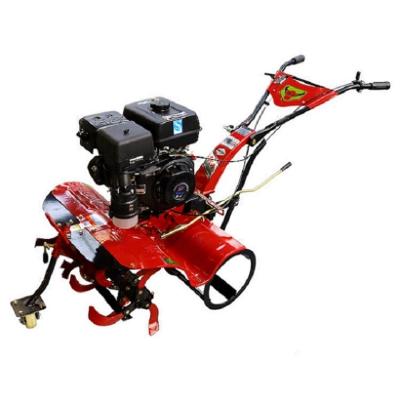 China Gasoline Power Convenient Farming Machinery 170F Spraying Mini Tractor for sale