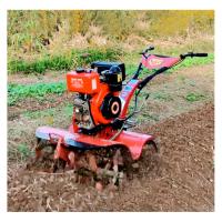 China Xinniu Farm Machine Mini Power Tiller with Versatile Gasoline Engine and Rotary Tools for sale