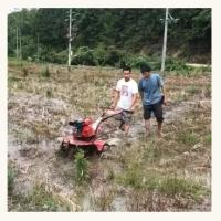 China Gasoline Mini Power Tiller with Rotary Tillage Lightweight and 65 KG Load Capacity for sale