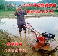 China Gasoline Mini Power Tiller with Rotary Tillage Lightweight and 65 KG Load Capacity for sale