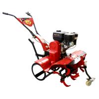 China 15-35cm Tilling Width Mini Power Tiller for Rotary Tilling and Agriculture Machinery for sale