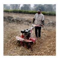 China 15-35cm Tilling Width Orchard Cultivator Gasoline and Diesel Engine Self-propelled for sale