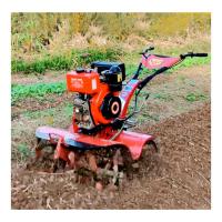 China Agriculture Machinery Equipment Small Walking Micro Tiller for Orchard Soil Management for sale