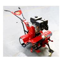 China 4KW Hand Push Agricultural Equipments Mini Garden Power Tiller for Customer Requirements for sale