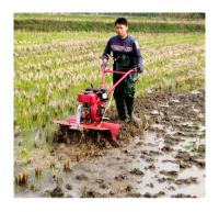 China 4KW Hand Push Agricultural Equipments Mini Garden Power Tiller for Customer Requirements for sale