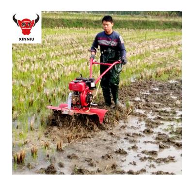 China High Safety Level Hand Push Short Model Mini Rotary Tiller for Farming Tools for sale