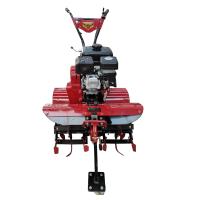 China Four-Wheel Drive 170F Gasoline Engine Mini Power Tiller Cultivator for Farm and Garden for sale
