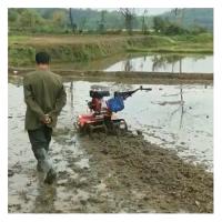 China Four-Wheel Drive 170F Gasoline Engine Mini Power Tiller Cultivator for Farm and Garden for sale