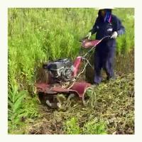 China Durable 170F Gasoline Engine Four-Wheel Drive Farm Cultivator for Paddy Fields and Dry Land 65 KG for sale