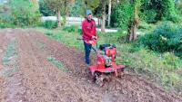 China 186F Diesel Engine Four-Wheel Drive Mini Power Tiller Cultivator for Farms Efficiency for sale