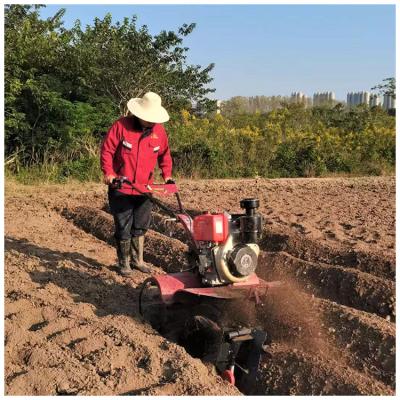 China 186F 4WD Multu-purpose Tiller for Hard Land Farming in Agriculture Machinery Equipment for sale