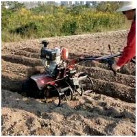 China 186F 4WD Multu-purpose Tiller for Hard Land Farming in Agriculture Machinery Equipment for sale