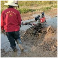 China Gasoline Power Type 178F/186F 4WD Mini Rotary Tiller for Multi-Purpose Farm Cultivator for sale